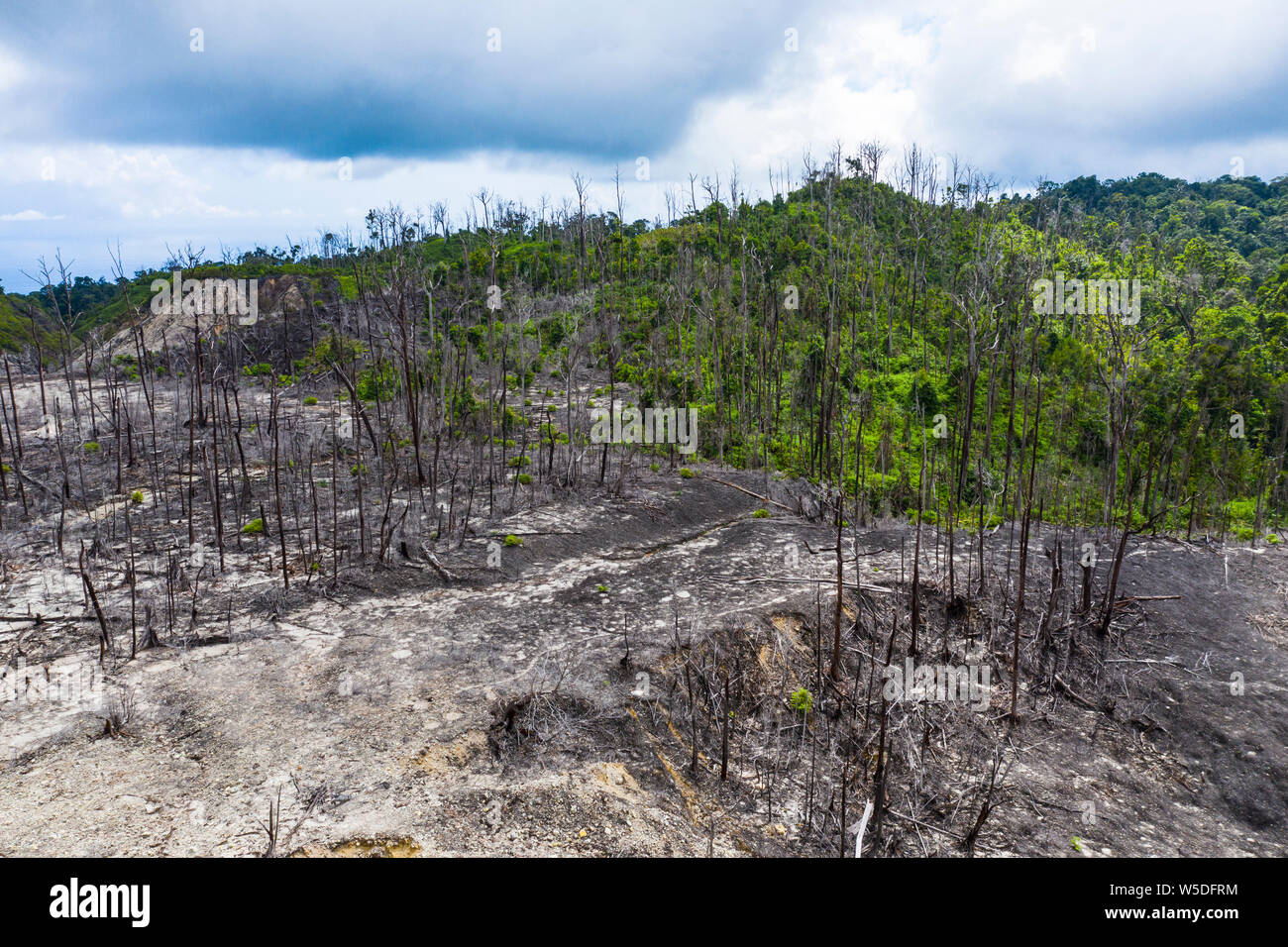 Garbuna Volcano, Kimbe Bay, New Britain, Papua New Guinea Stock Photo ...