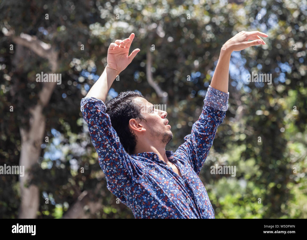 Male flamenco dancer hi-res stock photography and images - Alamy