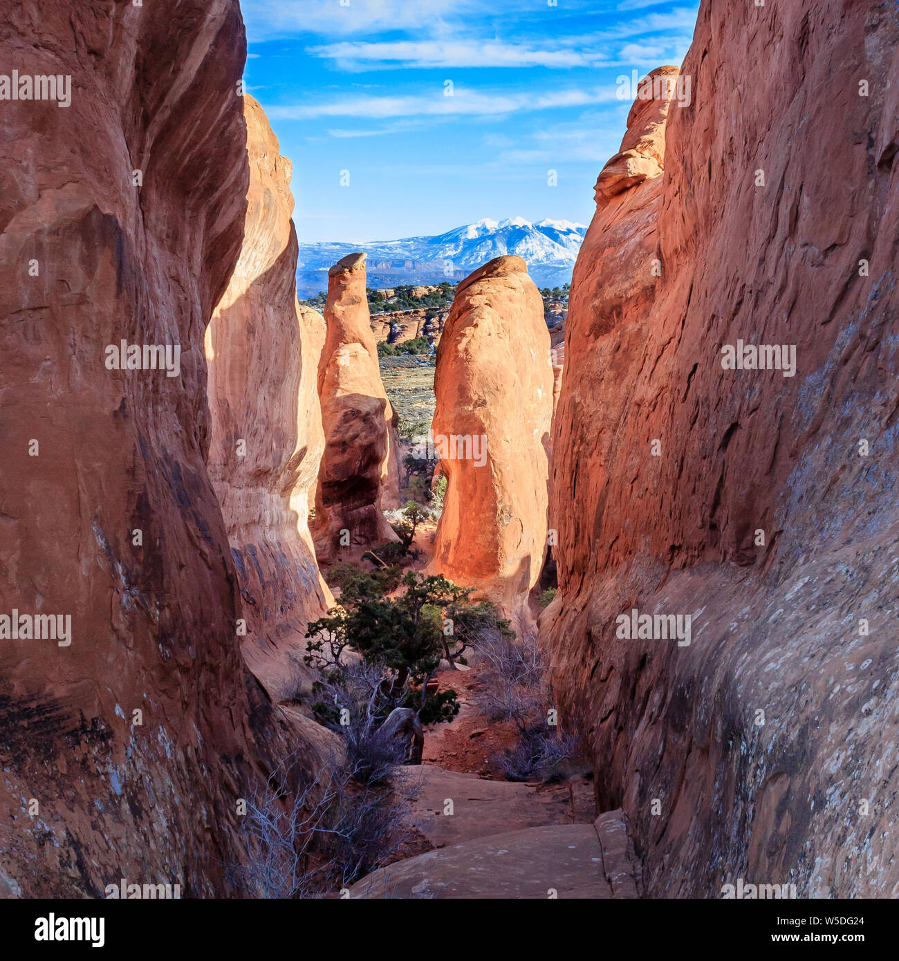 The amazing hiking trails of Arches National Park, Utah, USA Stock ...