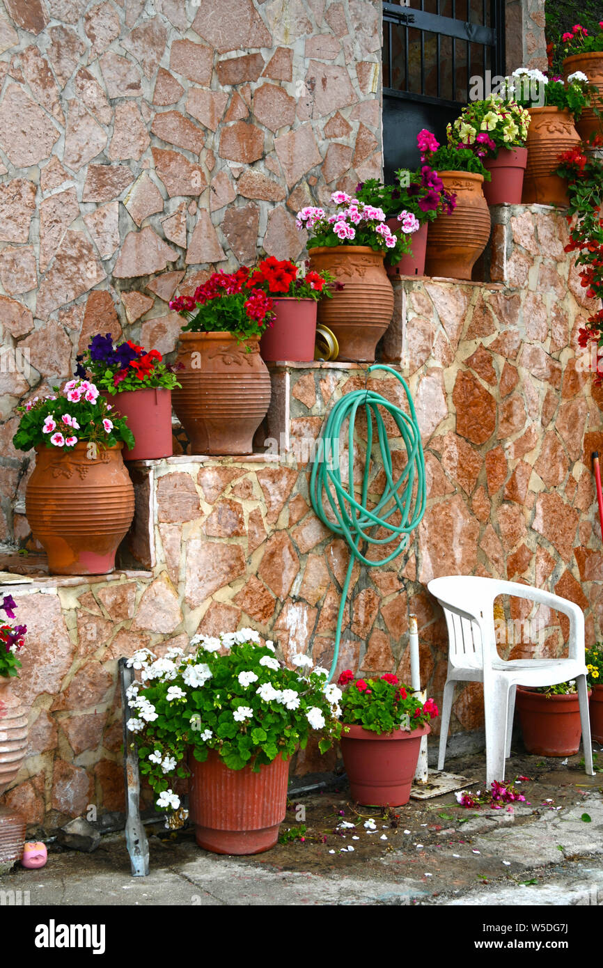 Garden plants of corfu hi-res stock photography and images - Alamy