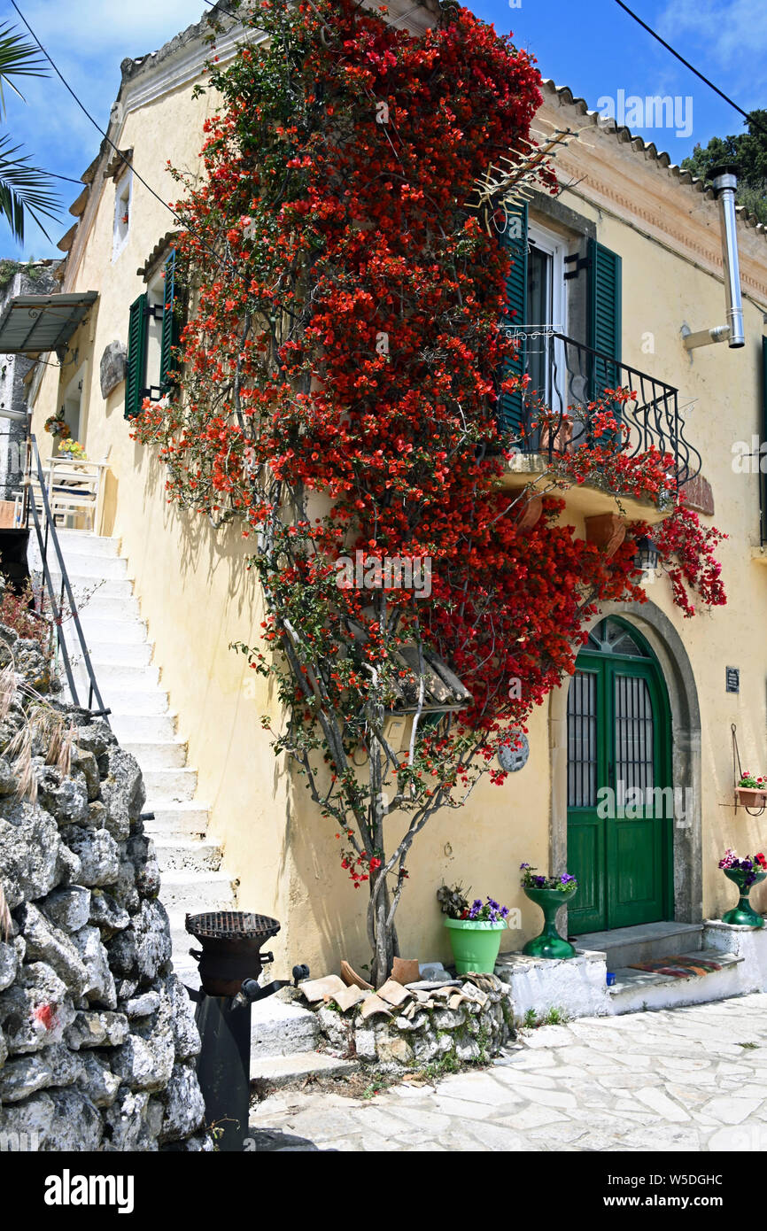Pretty village house, Chlomos, Corfu, Greece Stock Photo - Alamy