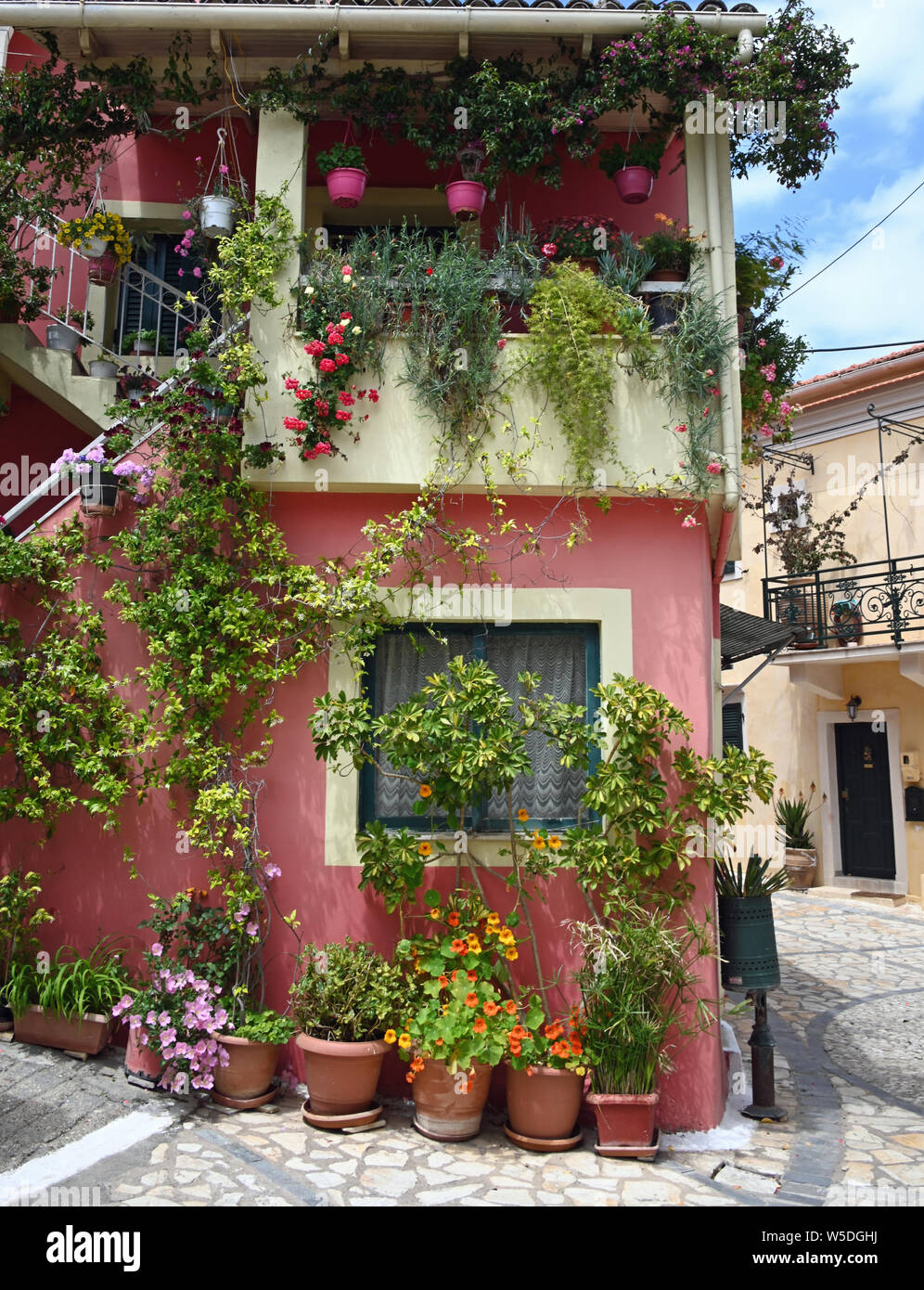 Plants of corfu hi-res stock photography and images - Alamy