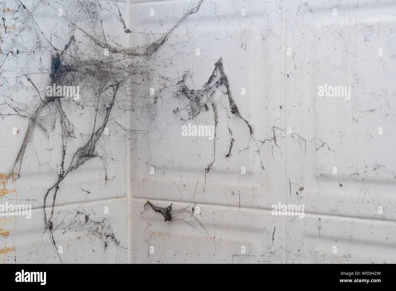 Abandoned toilet. a lot of cobwebs and garbage in abandoned toilet ...