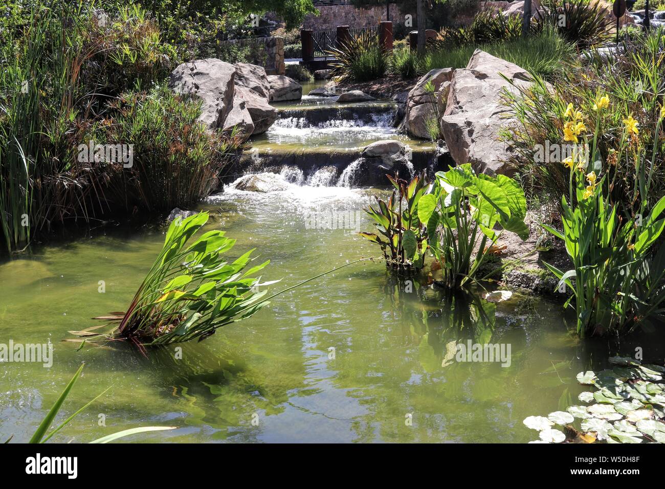 Pond w Running Water Stock Photo - Alamy