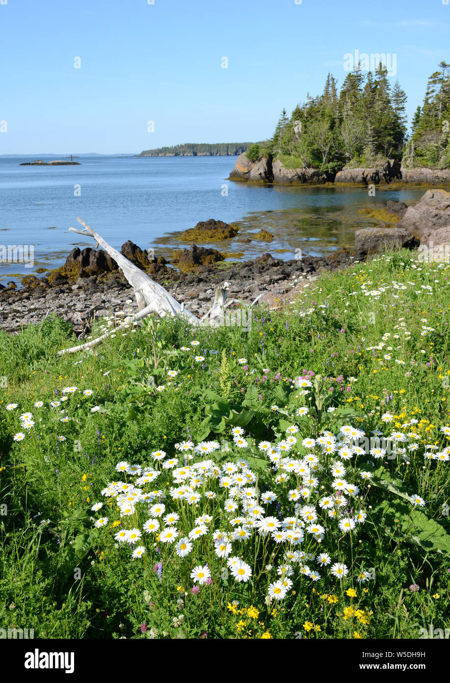 Blacks harbour new brunswick canada hi-res stock photography and images ...