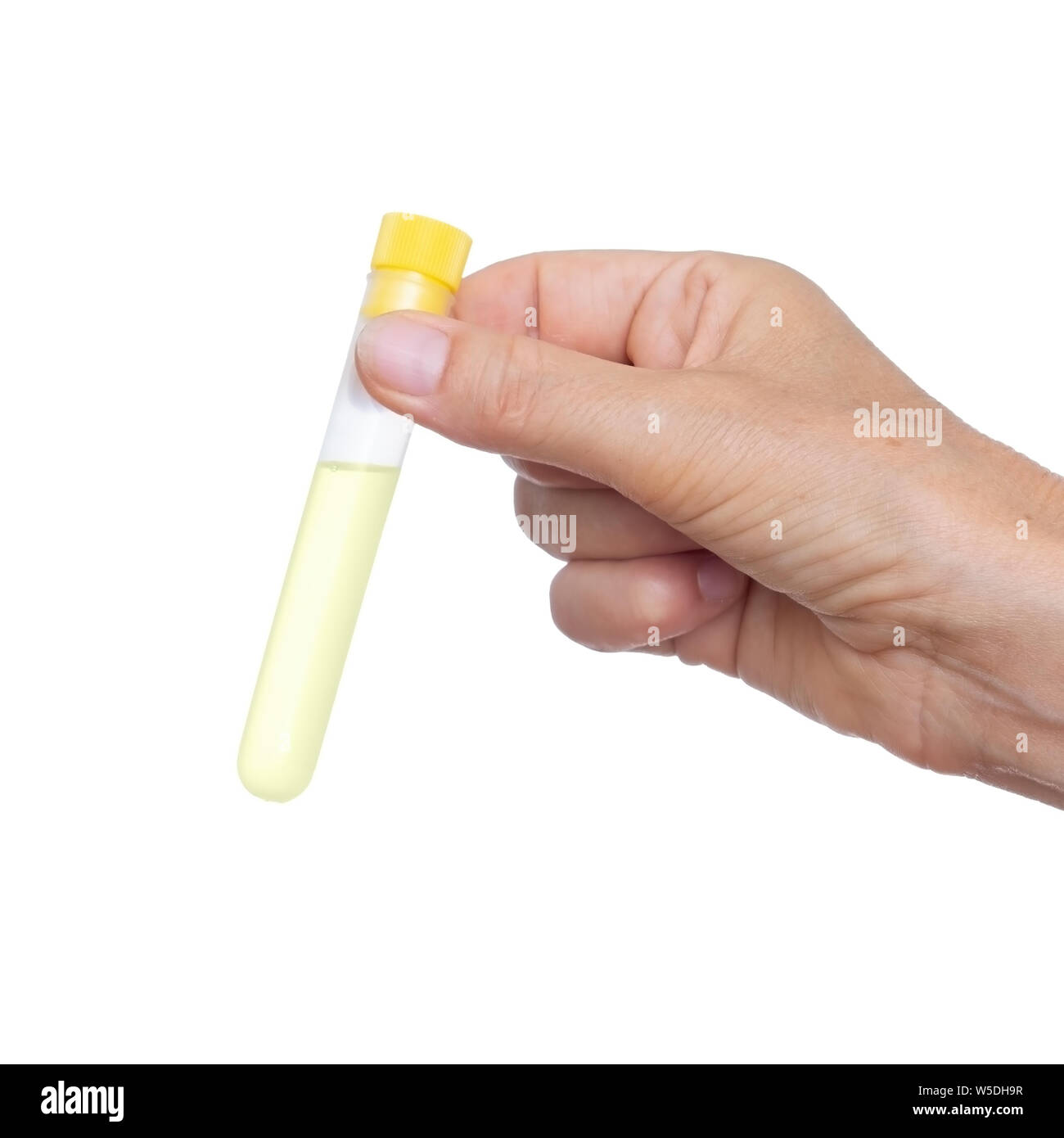 Test tube in hand , urine sample, isolated on white background Stock ...