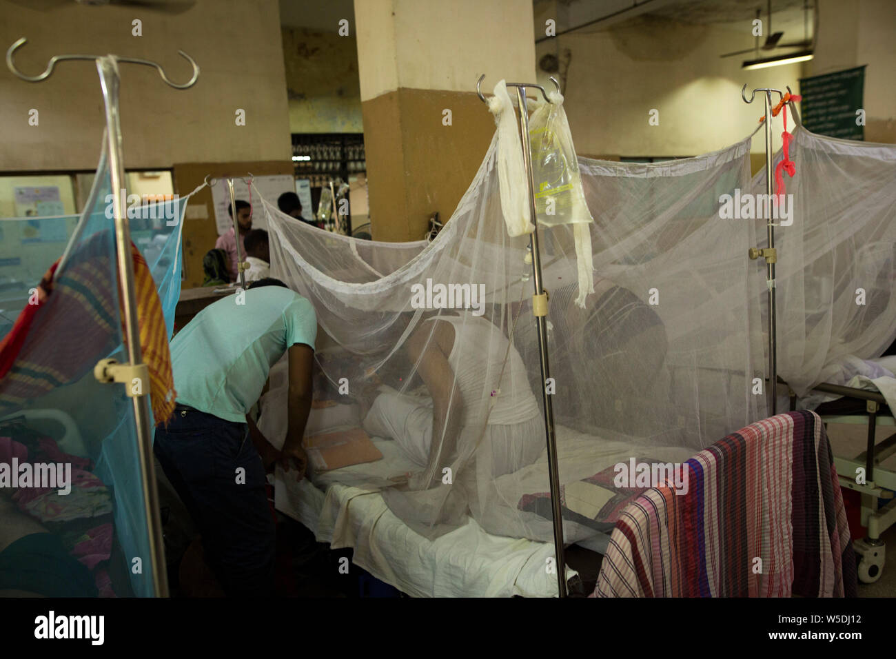DHAKA, BANGLADESH - JULY 28 : Dengue fever patient receives treatment ...