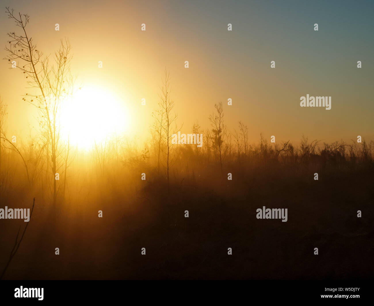 Outback dusk hi-res stock photography and images - Alamy