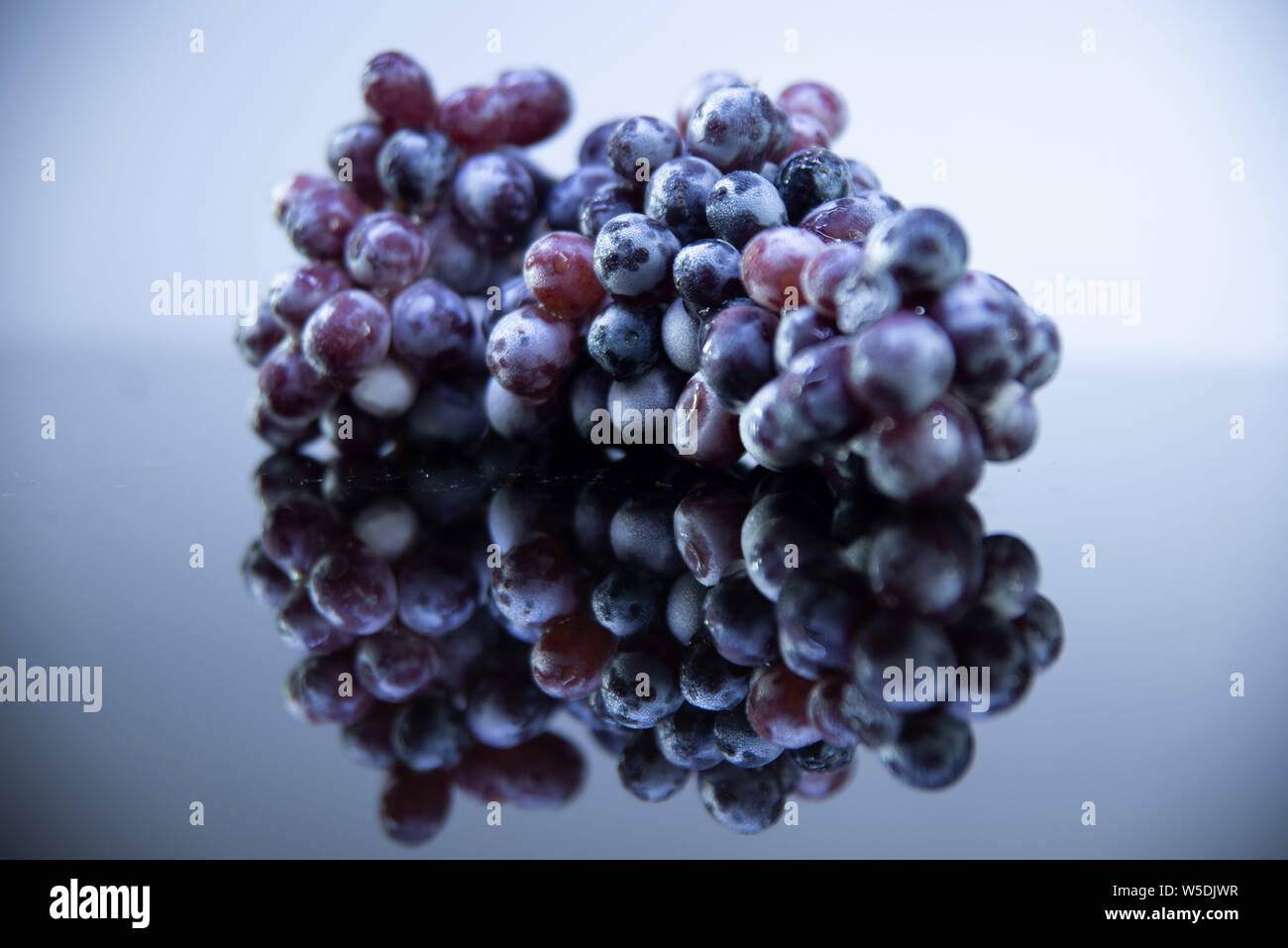 Feel cold with frozen Grapes Stock Photo - Alamy