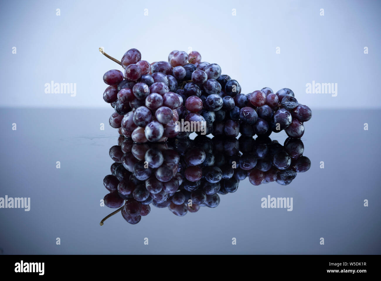 Feel cold with frozen Grapes Stock Photo - Alamy
