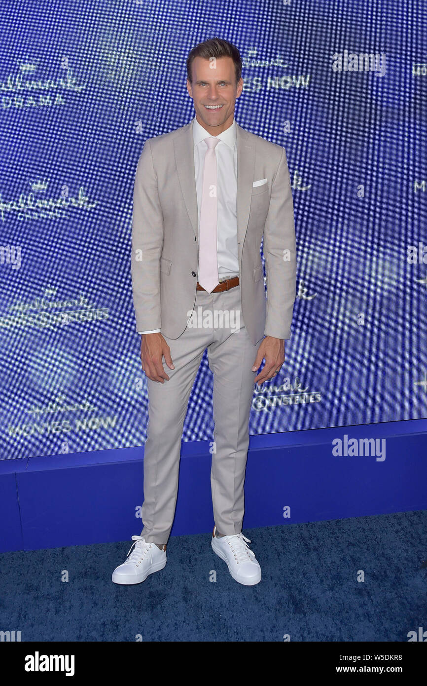 Cameron Mathison at the Hallmark Channel Summer TCA 2019 event in a ...