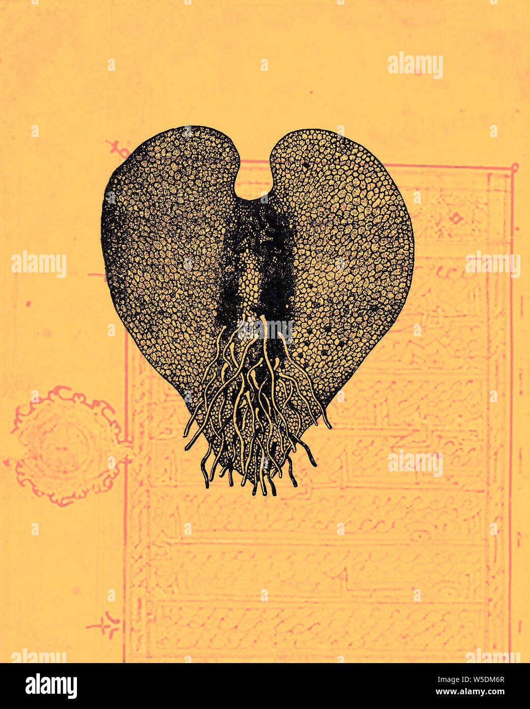 Public domain hi-res stock photography and images - Alamy