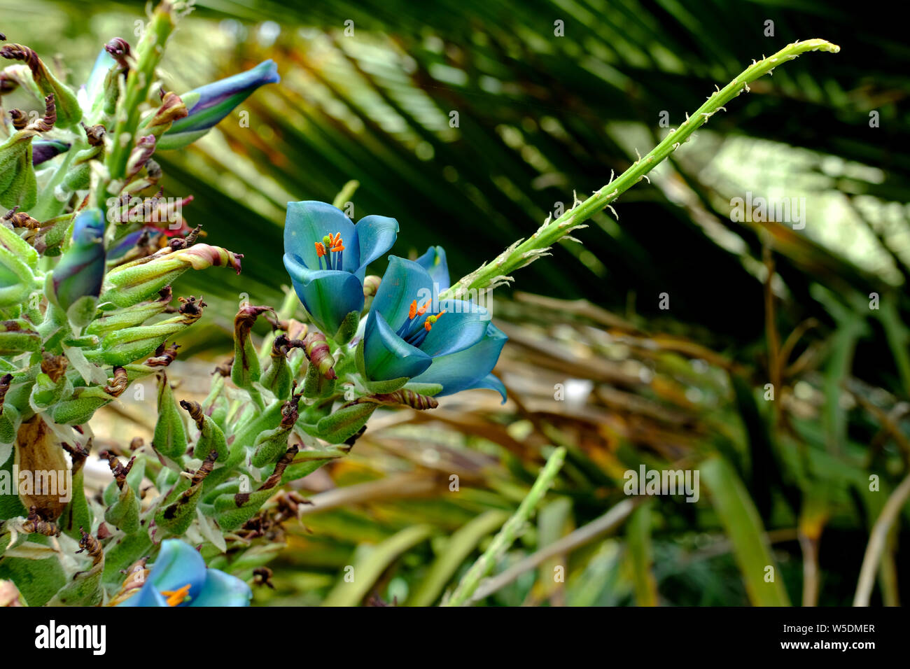 Sapphire tower hi-res stock photography and images - Alamy