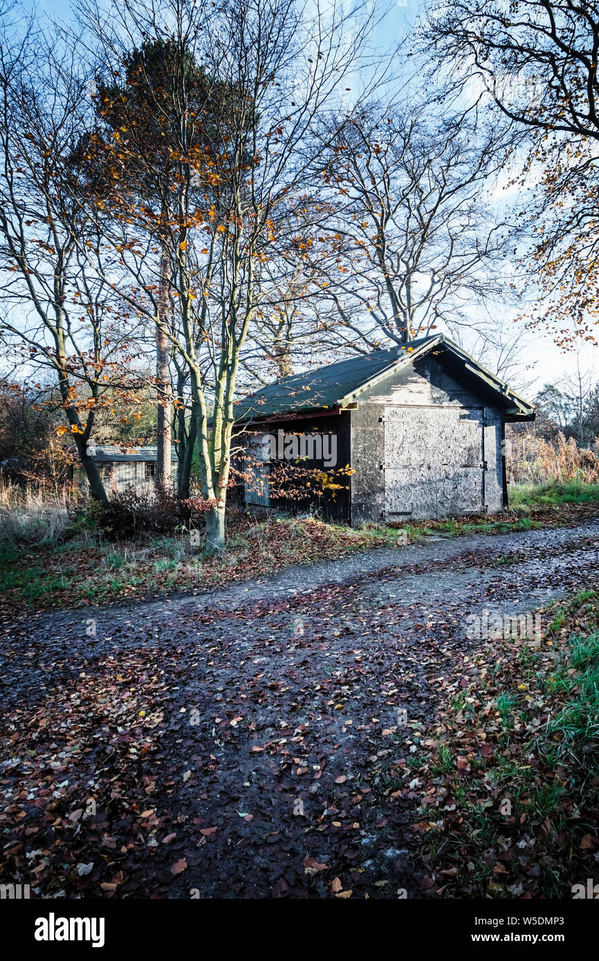 Old isolated shed, shack or garage in the woods near Consett, County ...