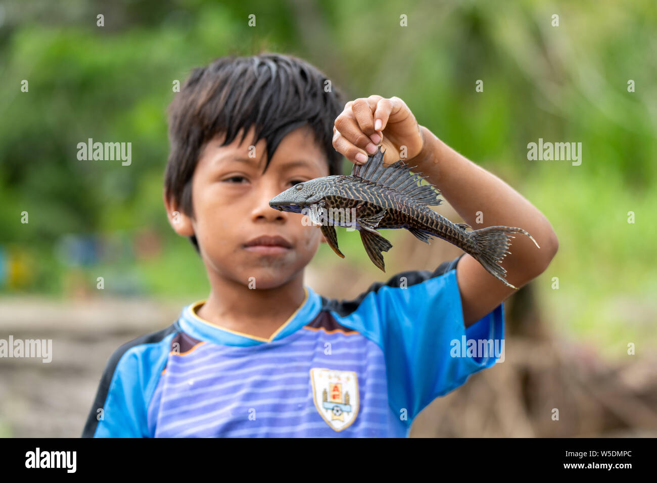 Amazon river catfish hi-res stock photography and images - Alamy