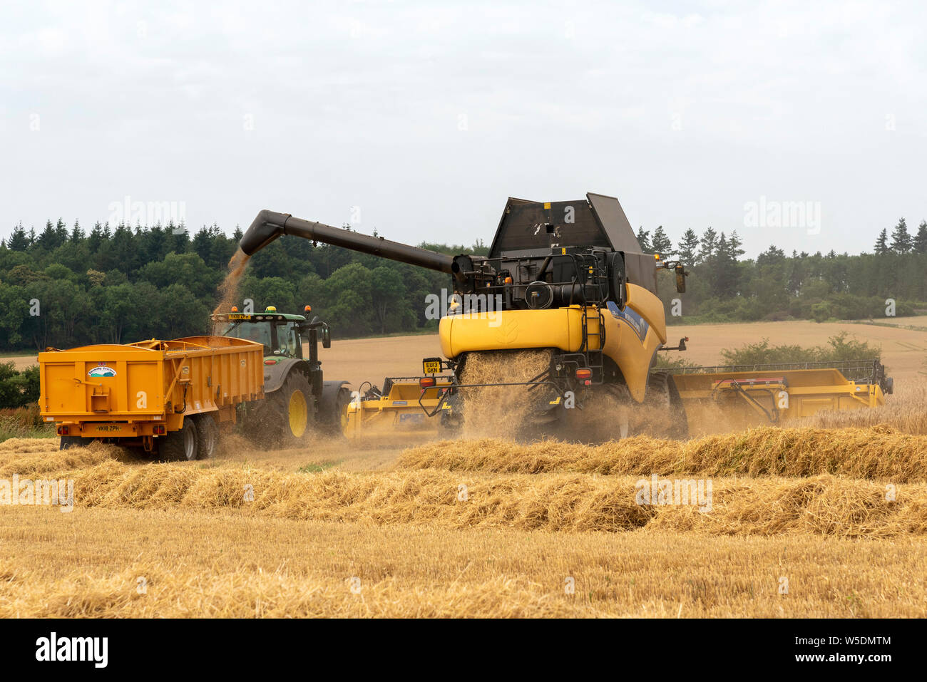 Cheltenham, Gloucestershire, England, UK. Combine harvester offloading ...