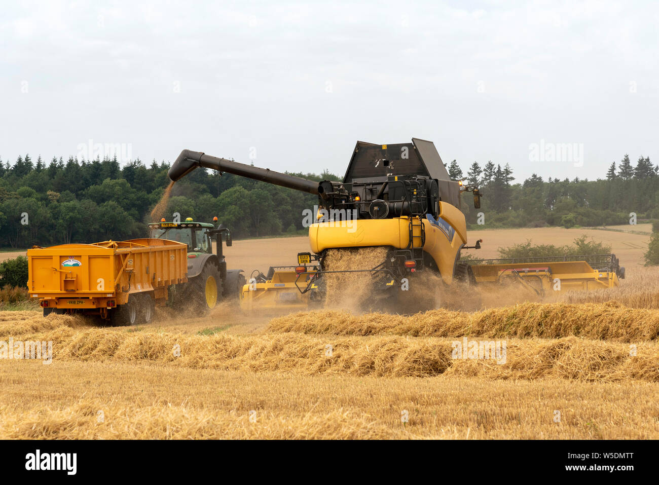 Cheltenham, Gloucestershire, England, UK. Combine harvester offloading ...