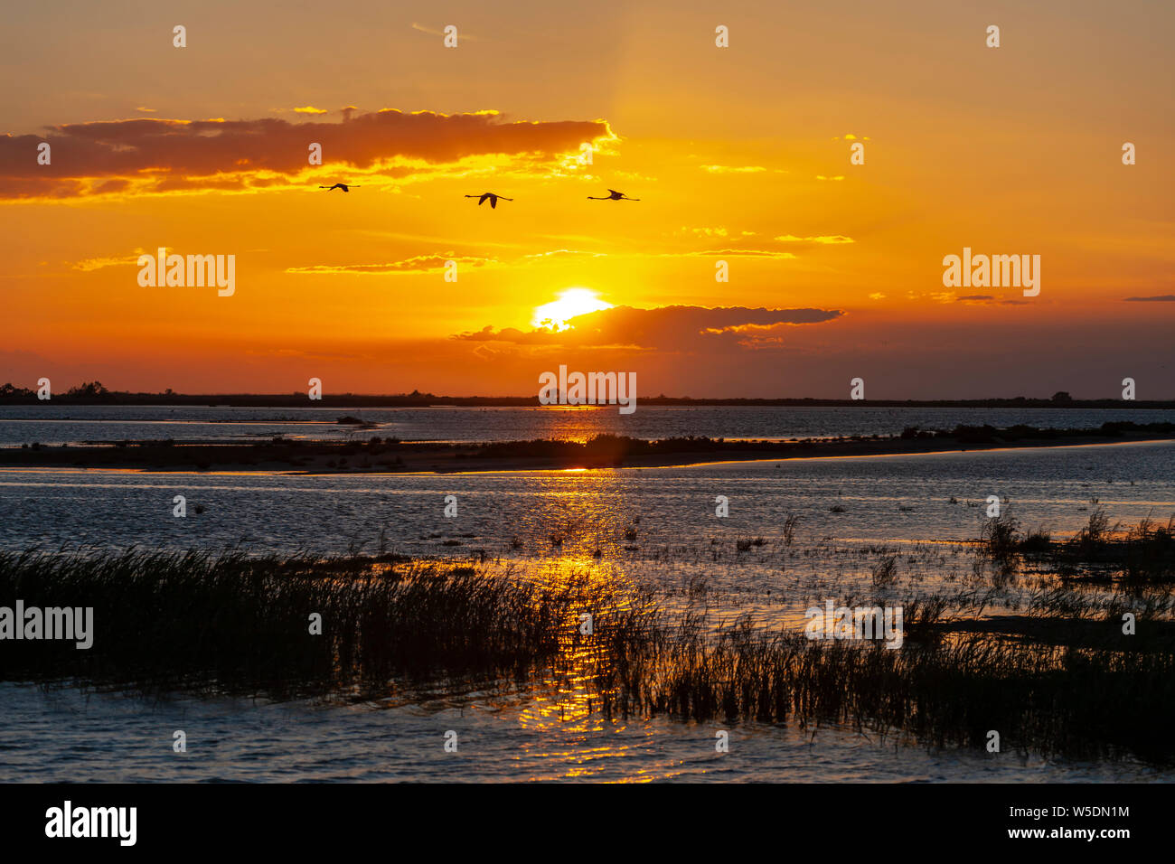 Camargue lagoons at sunset hi-res stock photography and images - Alamy