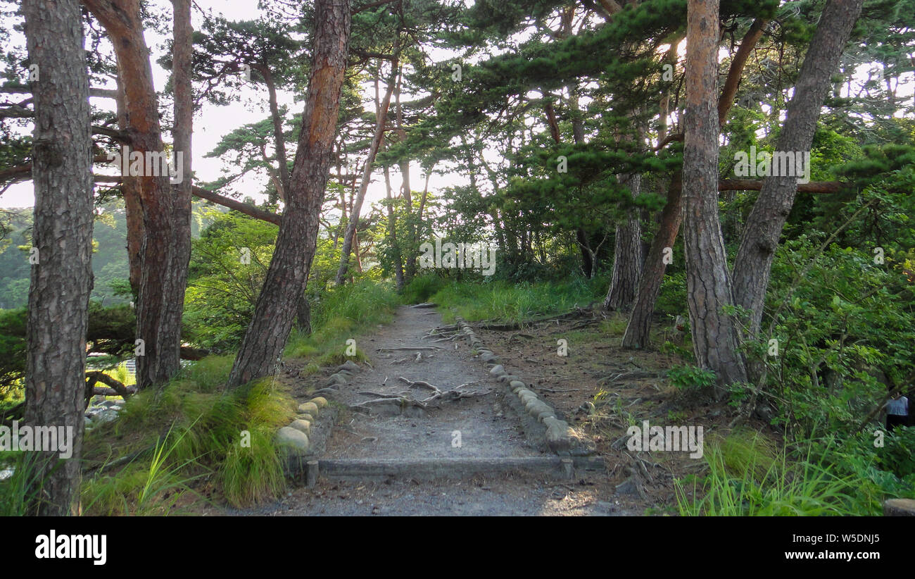 Ojima Island in Town Matsushima. located on the other side of vermilion ...