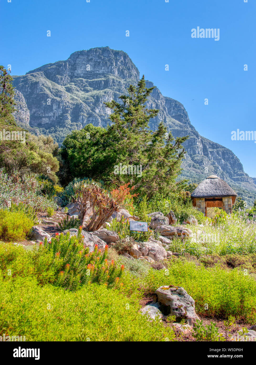 Kirstenbosch gardens hi-res stock photography and images - Alamy
