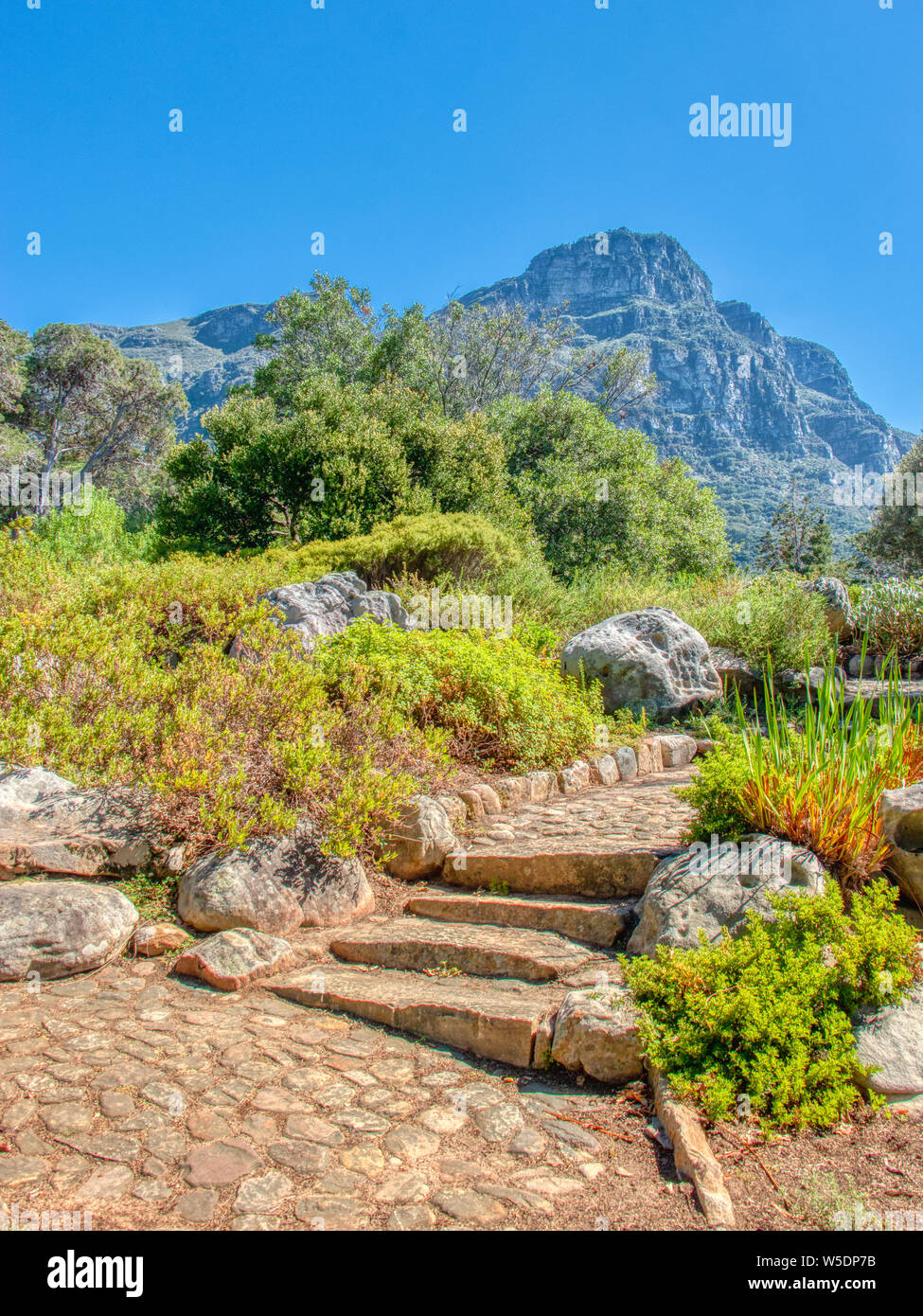 Kirstenbosch gardens hi-res stock photography and images - Alamy