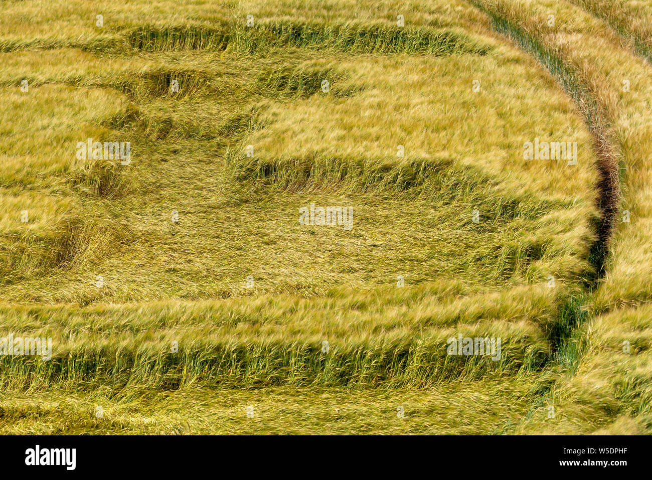Damaged crops hi-res stock photography and images - Alamy