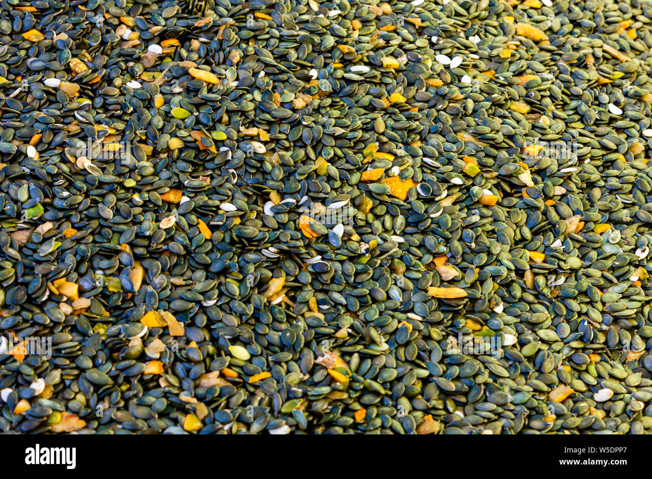 picking pumpkin seeds Stock Photo - Alamy