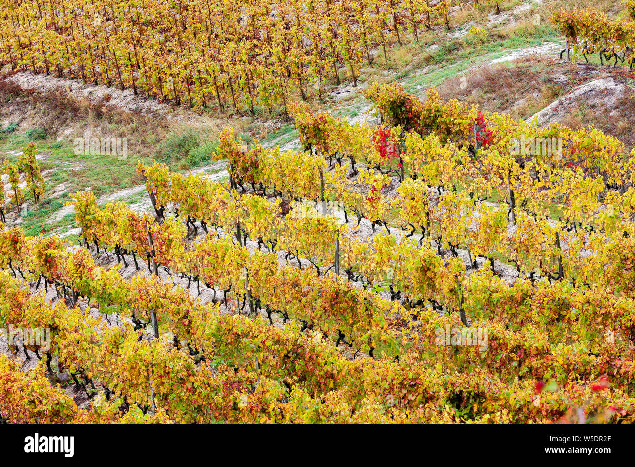 Rhona france hi-res stock photography and images - Alamy