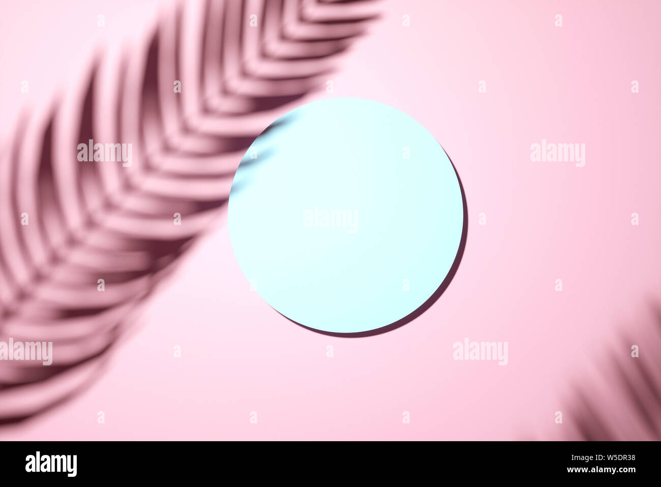 Shadow of a palm frond on a pink pastell wall with central blank square ...