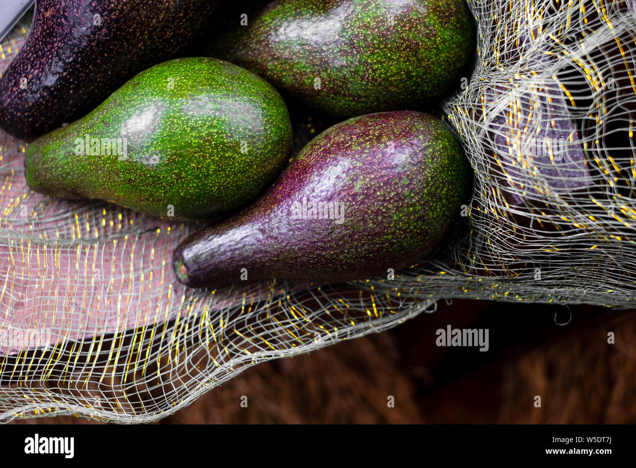 Alligator fruit hi-res stock photography and images - Alamy