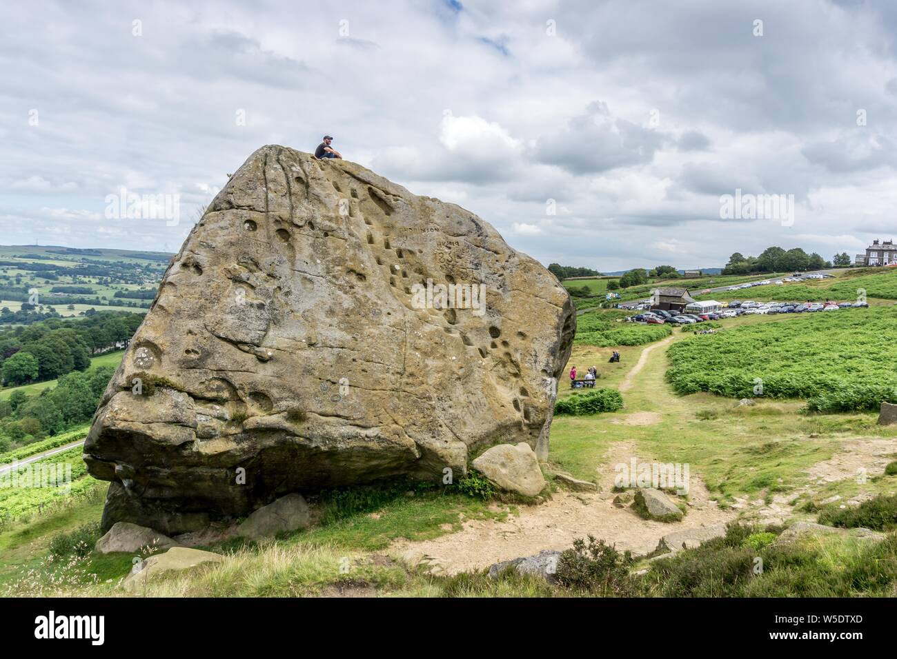 Ilkley moors cow and calf hi-res stock photography and images - Alamy