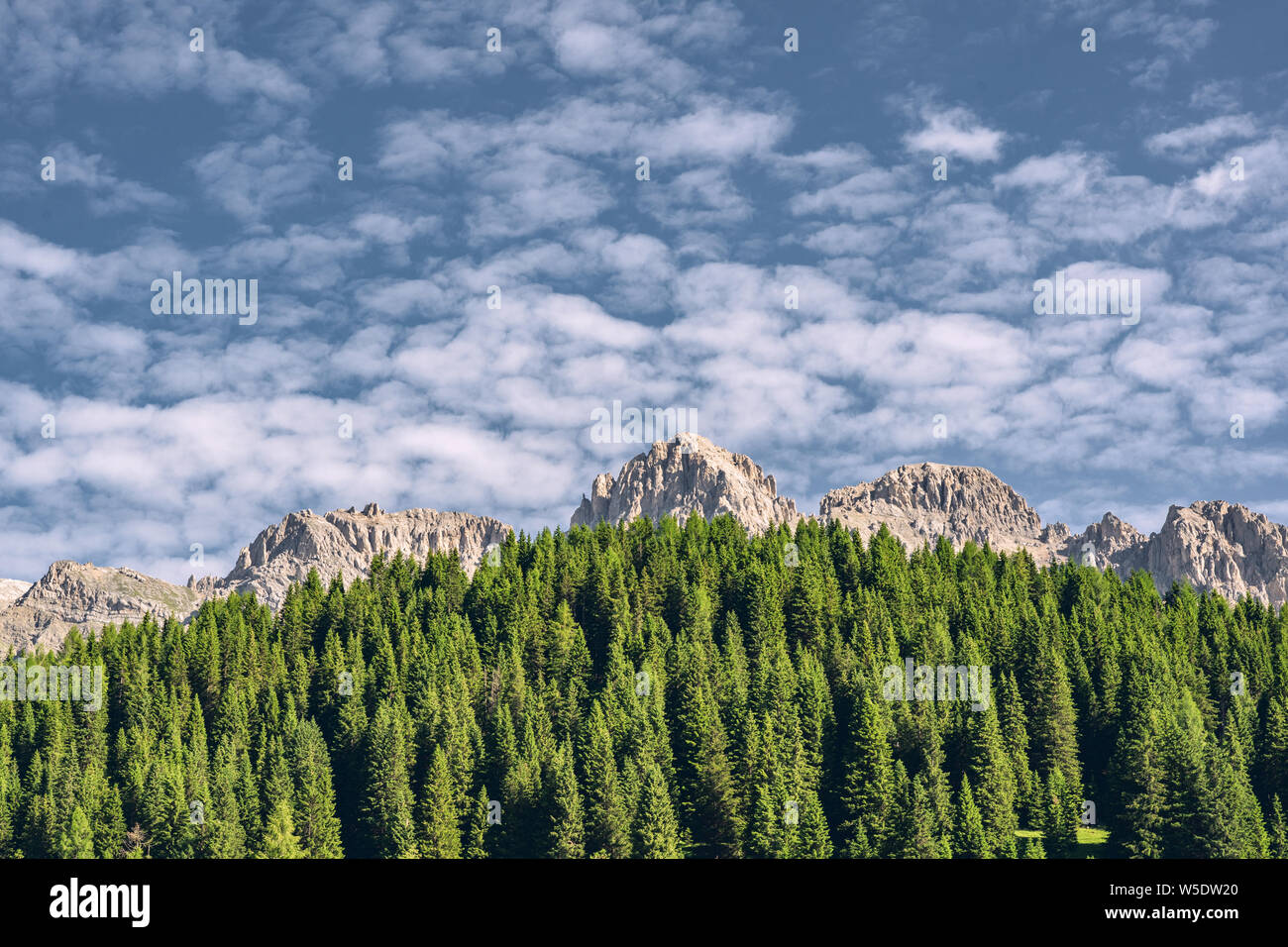 Beautiful Alps with green forest near mountain Stock Photo - Alamy