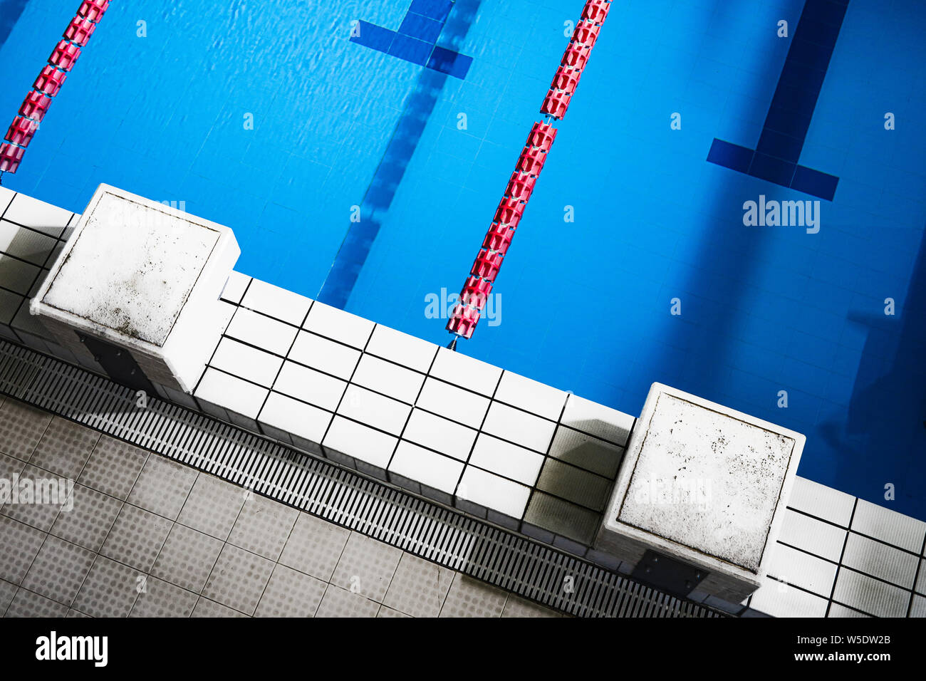High angle view of olympic size swimming pool with starting platforms ...