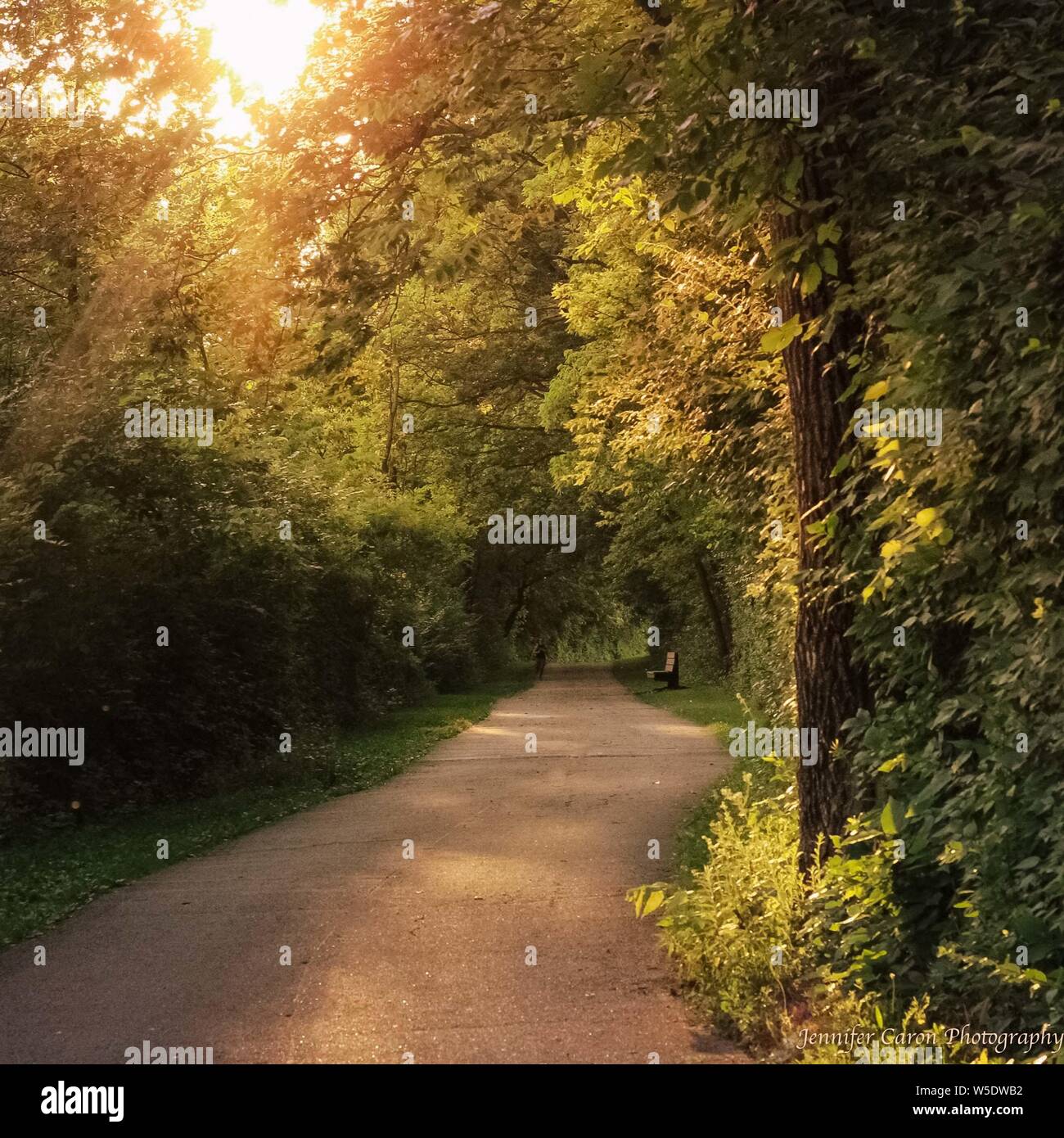 Discover nature hi-res stock photography and images - Alamy