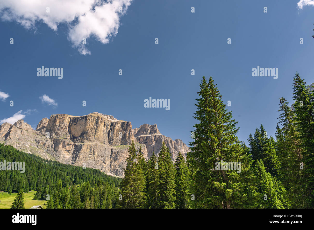 Beautiful Alps with high rocky mountain and forest Stock Photo - Alamy