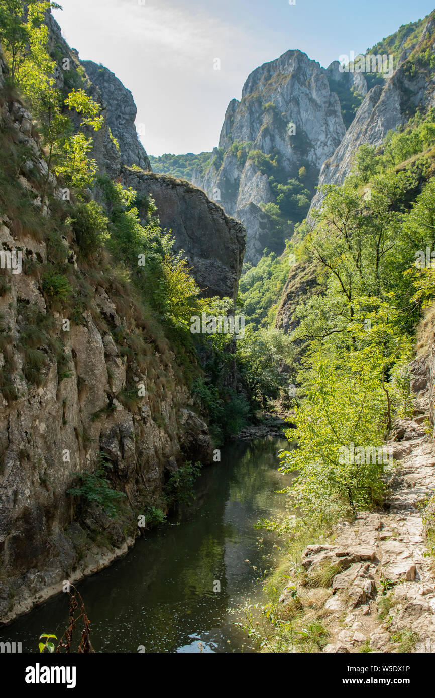 Romania gorge hi-res stock photography and images - Alamy