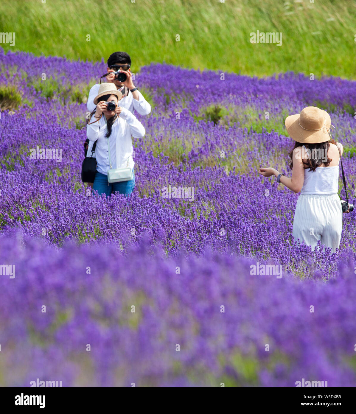 Group of Asian tourists posing for photographs and selfies in the ...