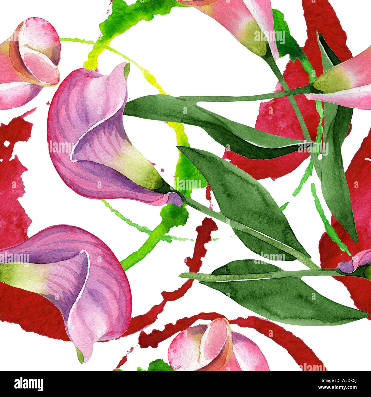 Pink calla floral botanical flower. Watercolor background illustration ...