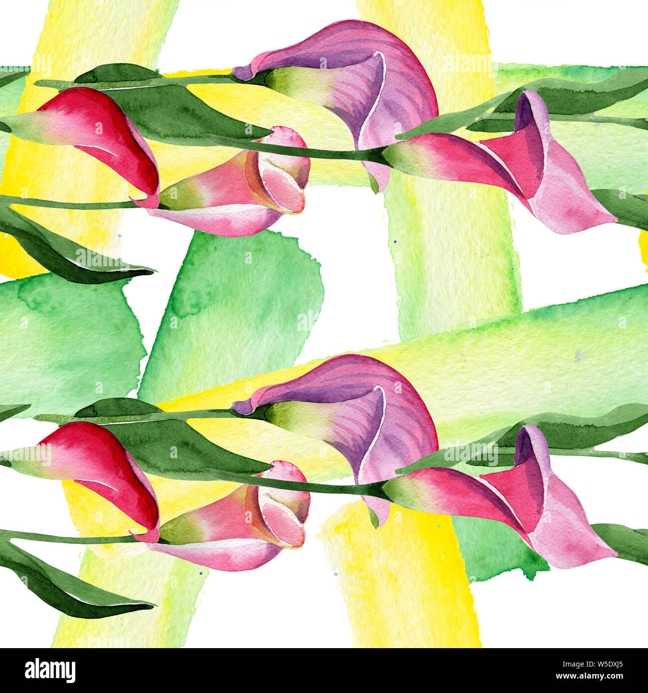 Pink calla floral botanical flower. Watercolor background illustration ...