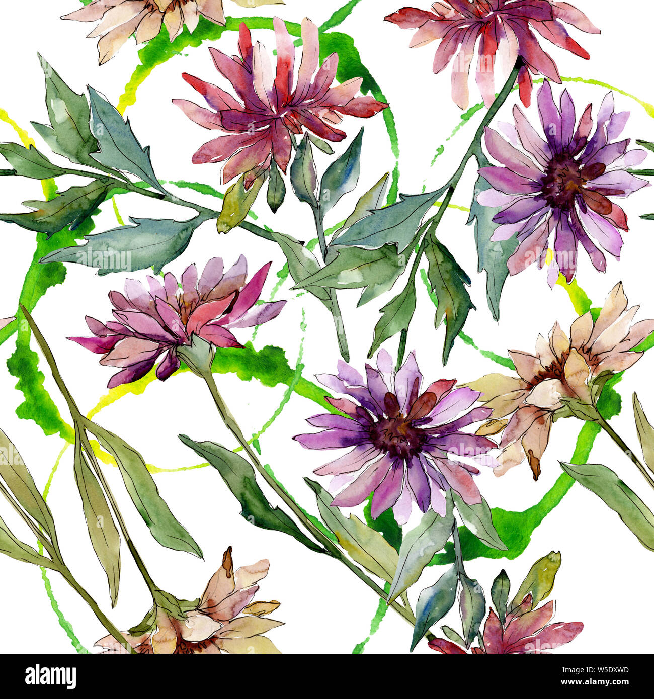Aster floral botanical flowers. Watercolor background illustration set ...