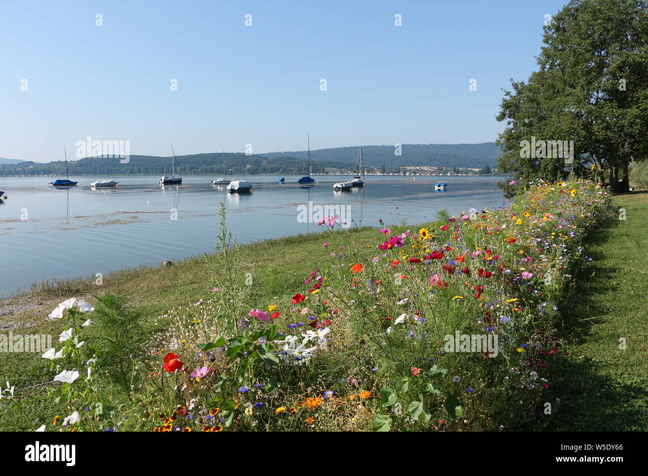 Radolfzell hi-res stock photography and images - Alamy