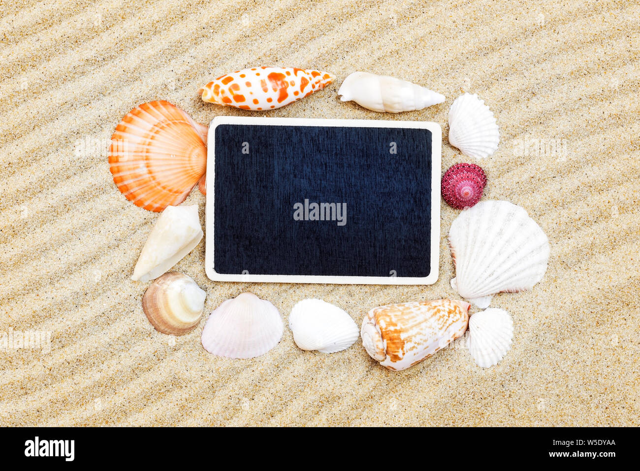 Blank photo frame with seashells hi-res stock photography and images ...