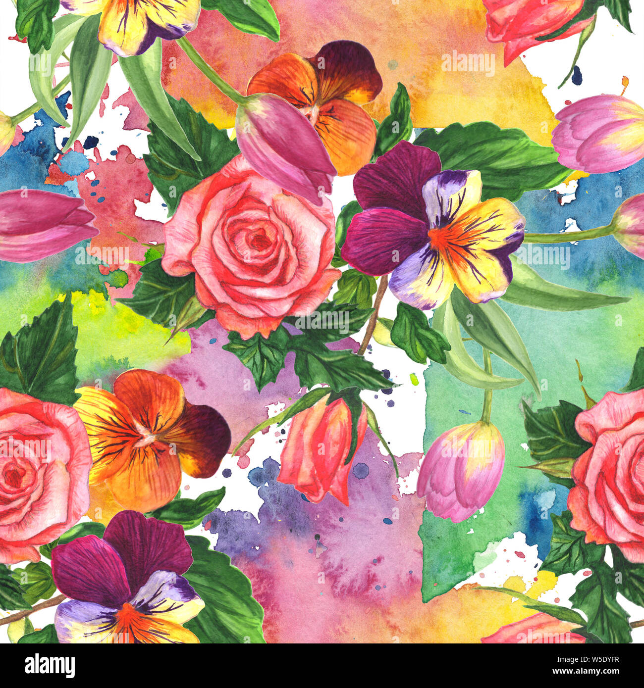 Viola, rose and tulip floral botanical flower. Watercolor background ...