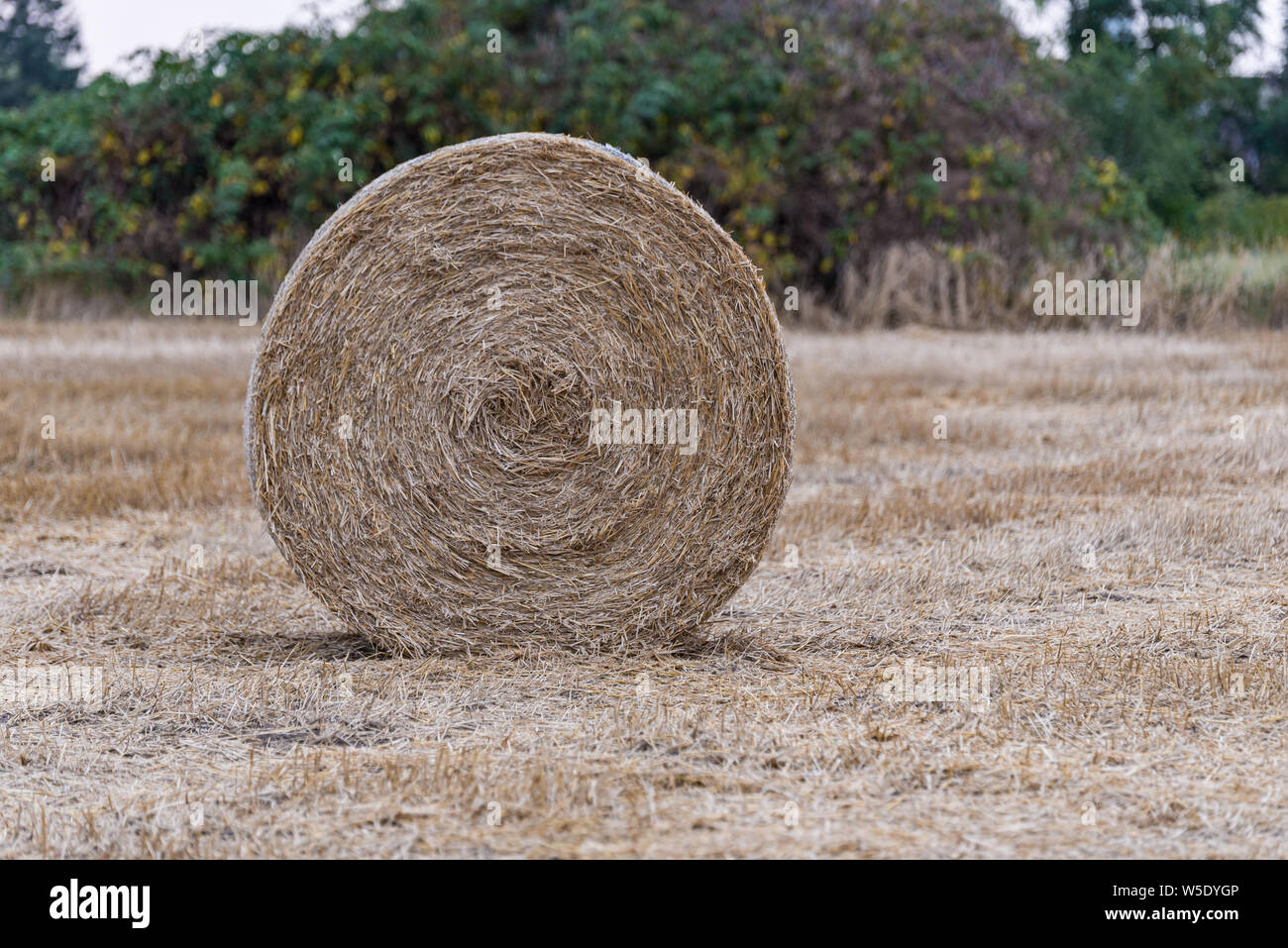Rolled round bale bales hi-res stock photography and images - Alamy