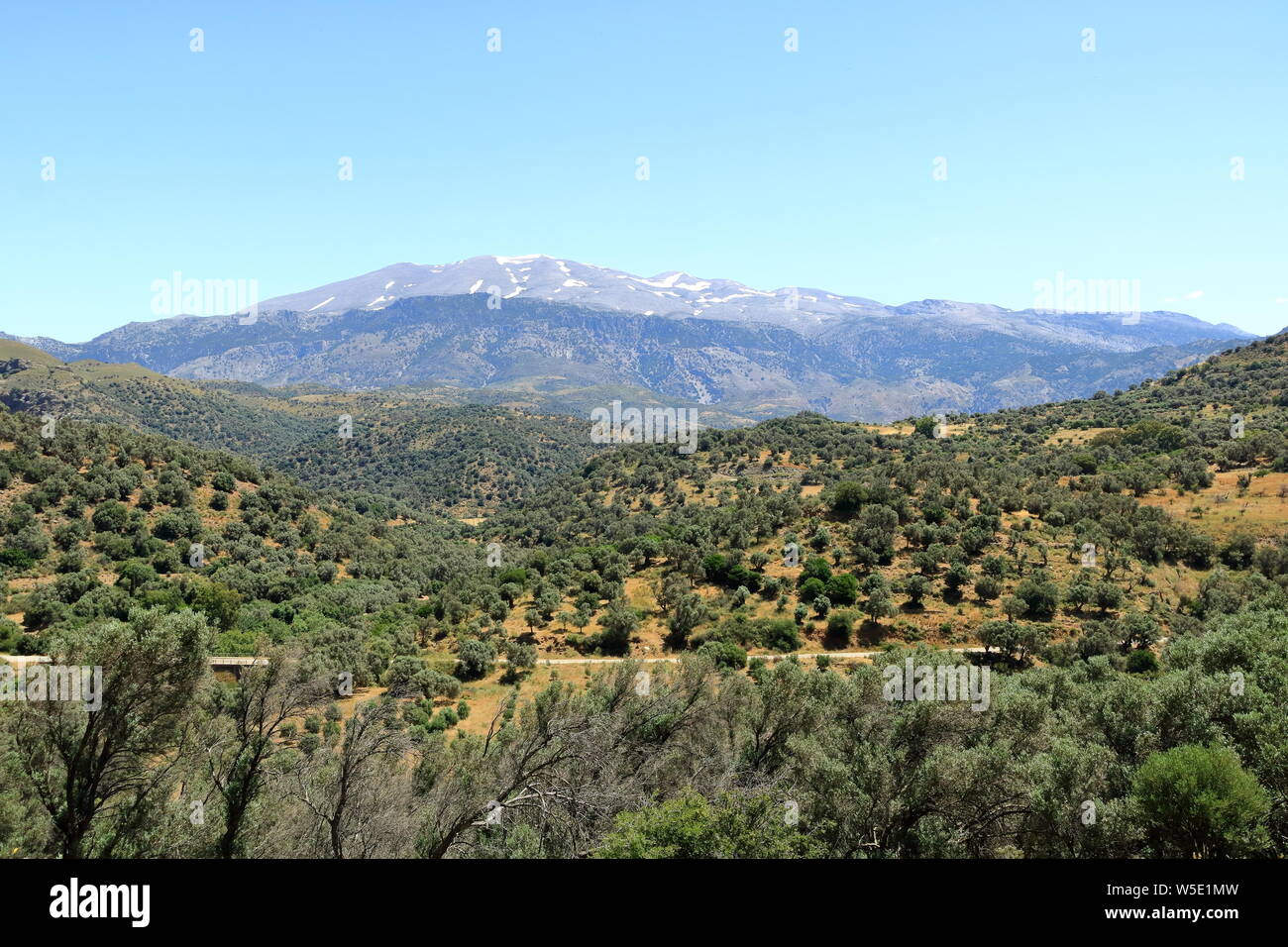 Olive Trees Greece High Resolution Stock Photography and Images - Alamy