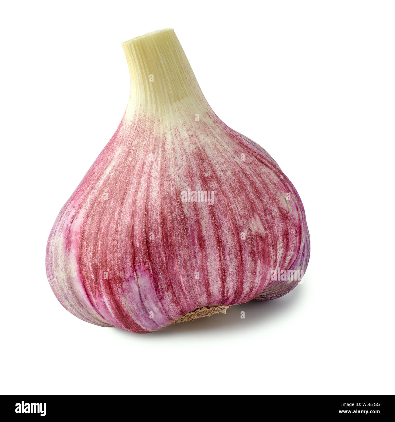 Violet bulb of fresh garlic on white Stock Photo - Alamy