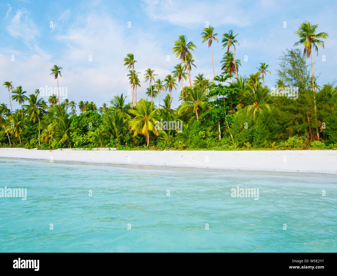 White sand beach with coconut palm trees turquoise transparent water ...