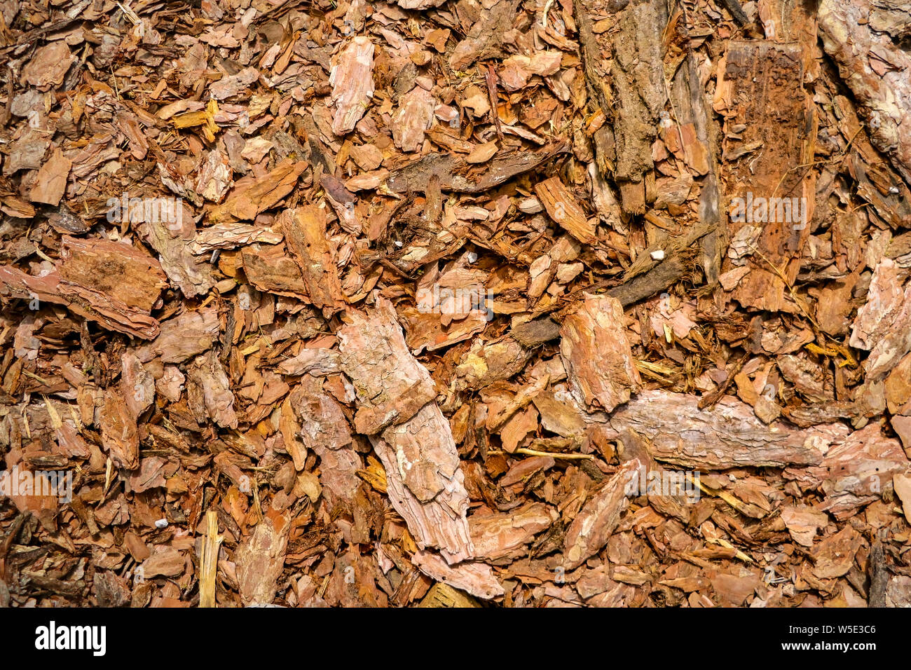 Vintage wallpaper strips texture hi-res stock photography and images ...