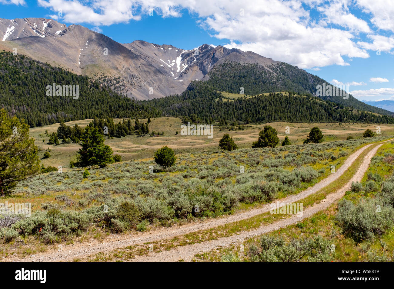 Remote road leads through the wilderness of Idaho with a large mountain ...