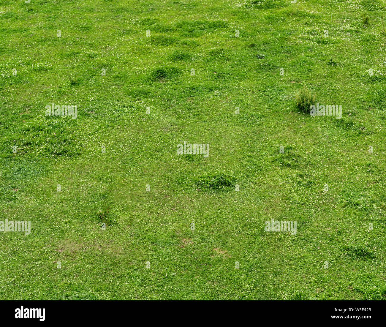 Field texture hi-res stock photography and images - Alamy